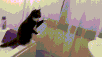 Realization GIFs - Get the best gif on GIFER
