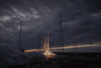 Elon GIFs - Get the best gif on GIFER
