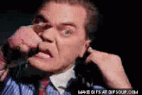 Client GIFs - Get the best gif on GIFER