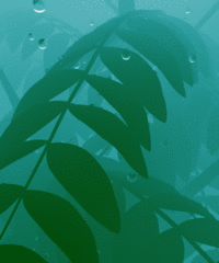 Plants GIFs - Get the best gif on GIFER