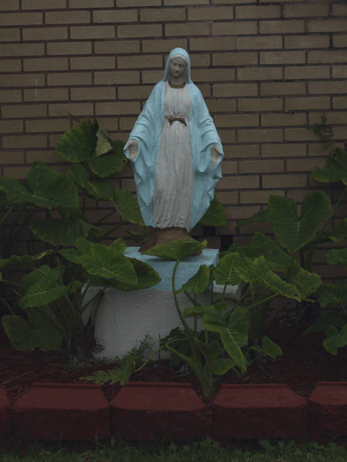 Itr GIFs - Obtenez le meilleur gif sur GIFER