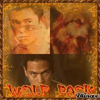 Wolfpack GIFs - Get the best gif on GIFER