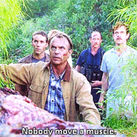 Bind GIFs - Get the best gif on GIFER