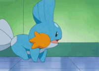 Mudkip GIFs - Get the best gif on GIFER