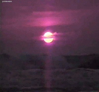 Florida GIFs - Get the best gif on GIFER