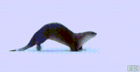 Slide GIFs - Get the best gif on GIFER
