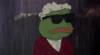 Pepe GIFs - Get the best gif on GIFER