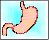 Estomac GIFs - Get the best gif on GIFER