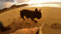 Baton GIFs - Get the best gif on GIFER