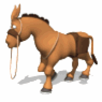 Donkeys GIFs - Get the best gif on GIFER