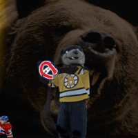 Bruins GIFs - Get the best gif on GIFER