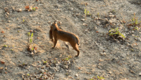 Outdoor GIFs - Get the best gif on GIFER