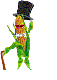 Corn GIFs - Get the best gif on GIFER