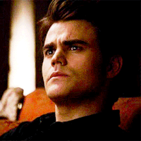 Stefan GIFs - Get the best gif on GIFER