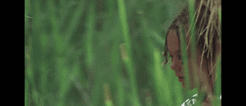 Walkabout GIFs - Get the best gif on GIFER