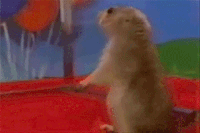 Dramatic Hamster Gif