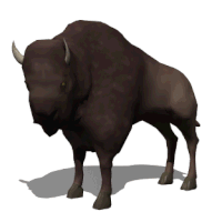 Buffalo GIFs - Get the best gif on GIFER