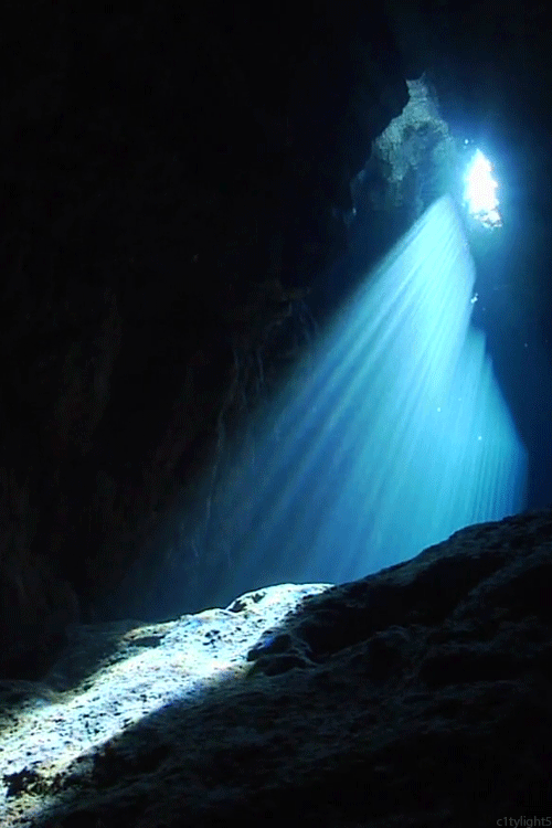 The Deep Blue Sea Gif