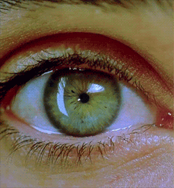 Hazel eyes GIF - Conseguir o melhor gif em GIFER