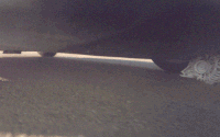 Modelo GIFs - Get the best gif on GIFER