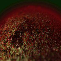 Procedural GIFs - Get the best gif on GIFER