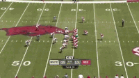 Razorback GIFs - Get the best gif on GIFER