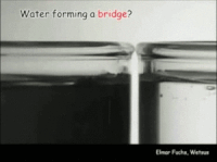 Fisica GIF - Conseguir el mejor gif en GIFER