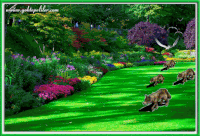 Lari GIFs - Get the best gif on GIFER