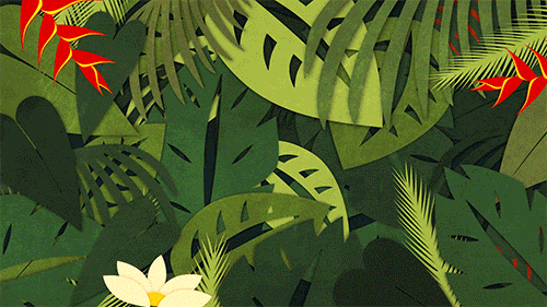 Biodiversity GIFs - Get the best gif on GIFER