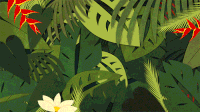 Biodiversity GIFs - Get the best gif on GIFER