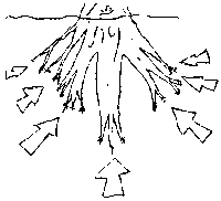 Root GIFs - Get the best gif on GIFER