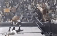 Hhh GIFs - Get the best gif on GIFER