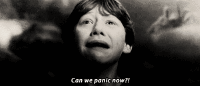 Panique GIFs - Get the best gif on GIFER