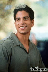 Csi GIFs - Get the best gif on GIFER