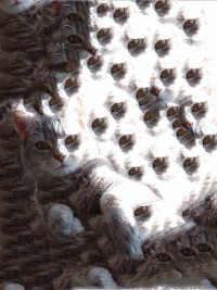 Avant garde GIFs - Get the best gif on GIFER