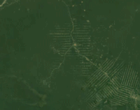 Deforestation GIFs - Get the best gif on GIFER