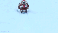 Sled GIFs - Get the best gif on GIFER