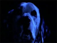 Sublime GIFs - Get the best gif on GIFER