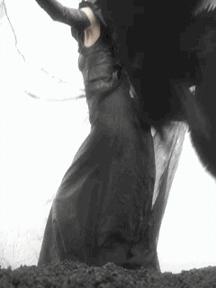 Alas GIFs - Get the best gif on GIFER