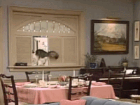 Littering GIFs - Get the best gif on GIFER