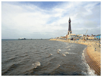 Tide GIFs - Get the best gif on GIFER