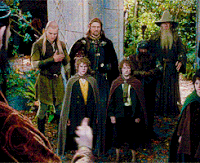 Commentary GIFs - Get the best gif on GIFER