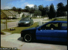 Shouldntcars GIFs - Get the best gif on GIFER