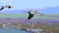 Cranes GIFs - Get the best gif on GIFER