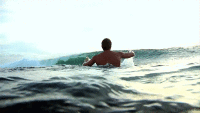 Surfer GIFs - Get the best gif on GIFER