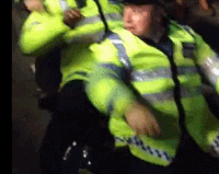 Carnival GIFs - Get the best gif on GIFER