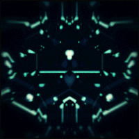 Symmetrical GIFs - Get the best gif on GIFER