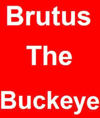 Buckeyes GIFs - Get the best gif on GIFER