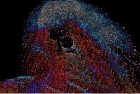 Distorsion GIF - Conseguir el mejor gif en GIFER