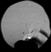 Density GIFs - Get the best gif on GIFER